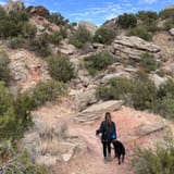 Rock Garden Trail, Texas - 1,009 Reviews, Map | AllTrails