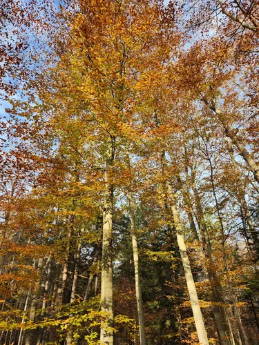 Best Hikes and Trails in Fall Creek Valley Natural Area | AllTrails