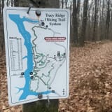 Tracy Ridge: Full Outer Loop, New York - 195 Reviews, Map | AllTrails