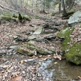 Tracy Ridge: Full Outer Loop, New York - 195 Reviews, Map | AllTrails