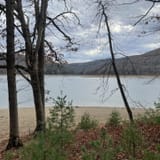 Tracy Ridge: Full Outer Loop, New York - 195 Reviews, Map | AllTrails