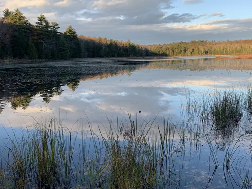 Best Horseback Riding Trails in Knight's Pond and Blueberry Hill ...