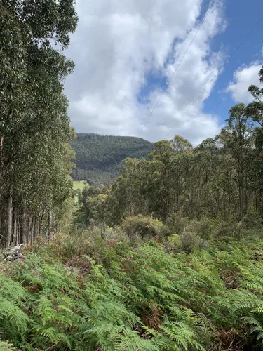 Best Hikes and Trails in Snug Tiers Nature Recreation Area | AllTrails