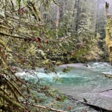 Staircase Rapids Loop, Washington - 2,343 Reviews, Map | AllTrails