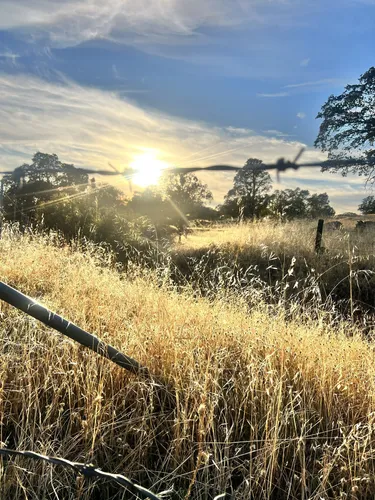 Best Hikes and Trails in Knights Ferry Recreation Area | AllTrails