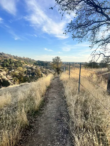 Best Hikes and Trails in Knights Ferry Recreation Area | AllTrails