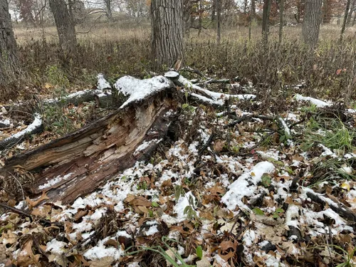 Best Hikes and Trails in Bluff Spring Fen Nature Preserve | AllTrails