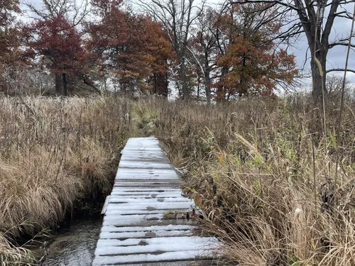 Best Hikes and Trails in Bluff Spring Fen Nature Preserve | AllTrails