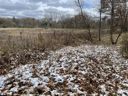 Best Hikes and Trails in Bluff Spring Fen Nature Preserve | AllTrails