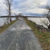 Colchester Causeway Trail, Vermont - 878 Reviews, Map | AllTrails