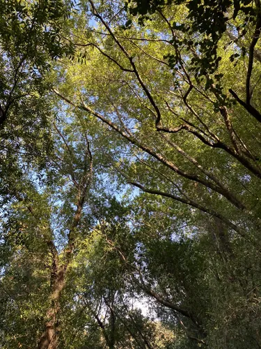 Best Hikes and Trails in Lexington Reservoir County Park | AllTrails