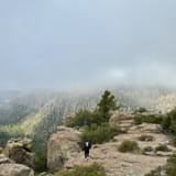 Bonita Canyon Scenic Drive, Arizona - 117 Reviews, Map | AllTrails