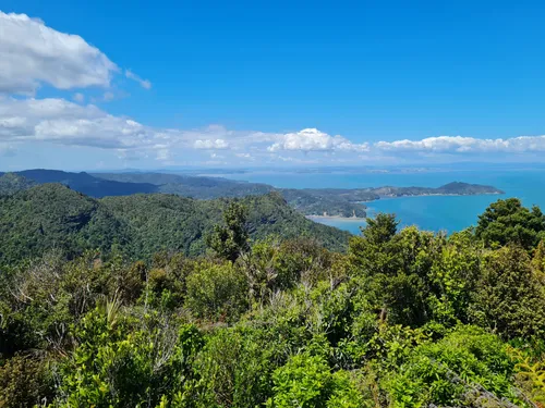 10 Best Trails and Hikes in Auckland | AllTrails