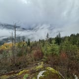 Heybrook Ridge via Leovy Trail, Washington - 1,440 Reviews, Map | AllTrails