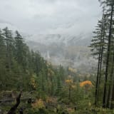 Heybrook Ridge via Leovy Trail, Washington - 1,440 Reviews, Map | AllTrails