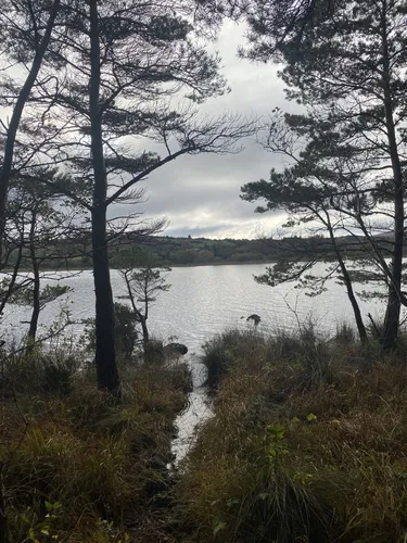 10 Best Trails and Hikes in County Galway | AllTrails