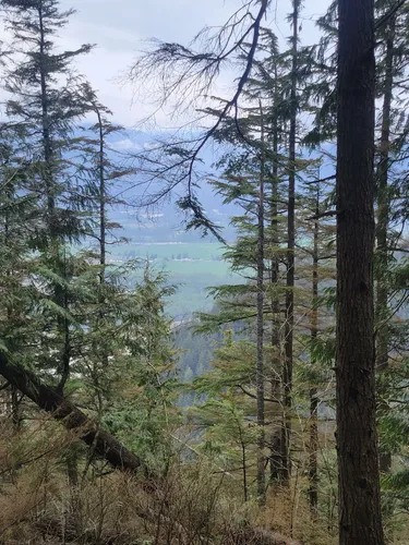 2023 Best River Trails in Sumas Mountain Regional Park | AllTrails