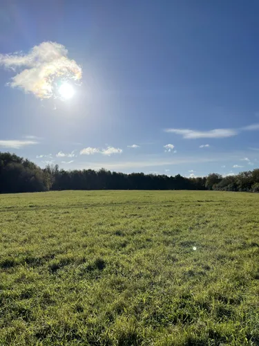 Best Hikes and Trails in Marston Vale Millennium Country Park | AllTrails