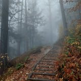Grotto Falls via Trillium Gap Trail, Tennessee - 6,099 Reviews, Map ...