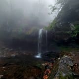 Grotto Falls via Trillium Gap Trail, Tennessee - 6,099 Reviews, Map ...