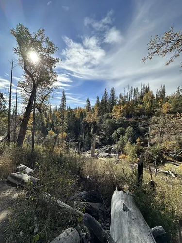 10 Best Hikes and Trails in Sierra National Forest | AllTrails