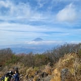 Mount Kintoki - Kintoki Shrine, Kanagawa, Japan - 206 Reviews, Map ...