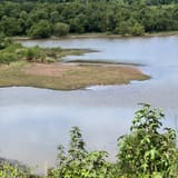 Bridge Loop Trail and Lake Loop Trail, Georgia - 840 Reviews, Map ...