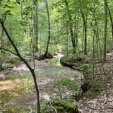 Bridge Loop Trail and Lake Loop Trail, Georgia - 840 Reviews, Map ...