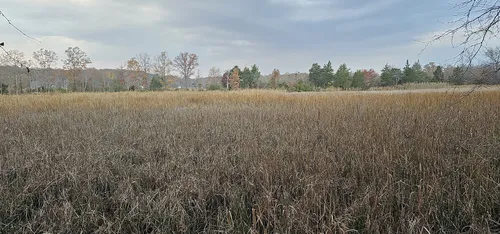 Best Hikes and Trails in Port Tobacco River Park | AllTrails