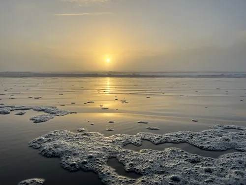 Best Hikes and Trails in Little River State Beach | AllTrails