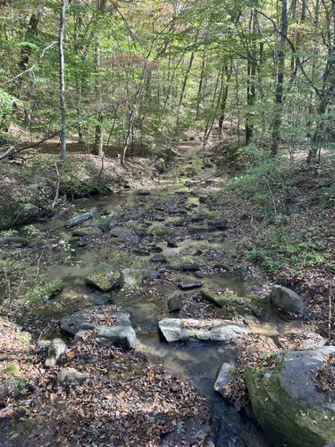 Best Hikes and Trails in Charlie Elliott Wildlife Center | AllTrails