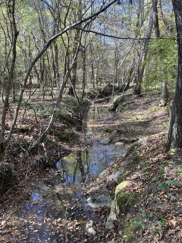 Best Hikes and Trails in Charlie Elliott Wildlife Center | AllTrails