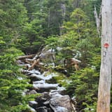 Mount Haystack Trail, New York - 626 Reviews, Map | AllTrails