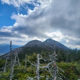 Mount Haystack Trail, New York - 626 Reviews, Map | AllTrails