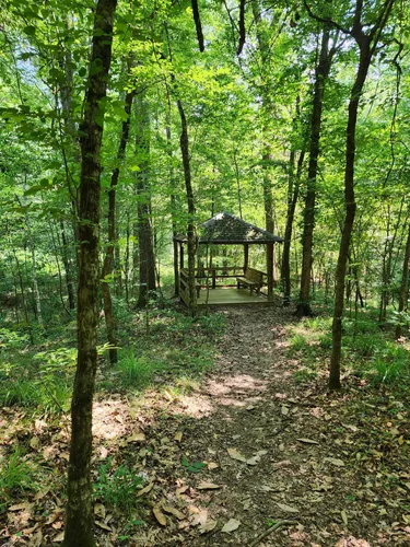 Best Hikes and Trails in Chicot State Park | AllTrails