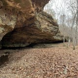 Panther Den Loop, Illinois - 907 Reviews, Map | AllTrails