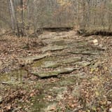 Panther Den Loop, Illinois - 907 Reviews, Map | AllTrails