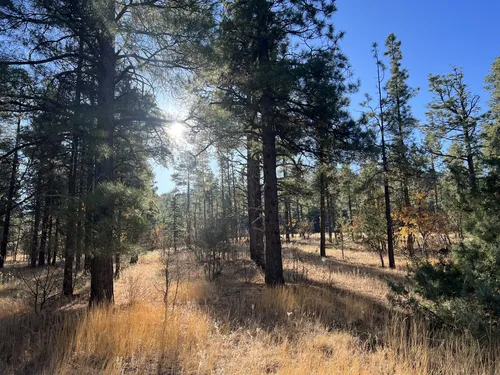 10 Best Trails and Hikes in Williams | AllTrails
