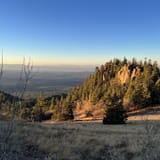 Bill Williams Mountain Trail, Arizona - 544 Reviews, Map | AllTrails