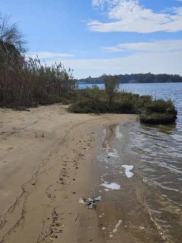 Best Hikes and Trails in Wye Island Natural Resource Management Area ...