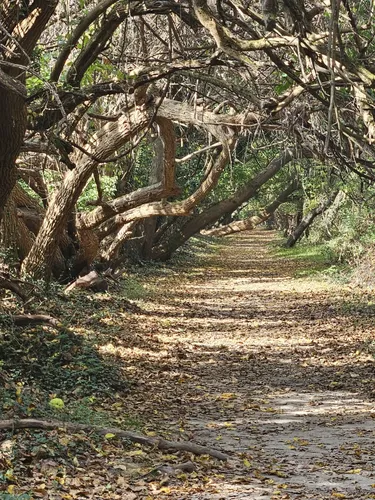 Best Hikes and Trails in Wye Island Natural Resource Management Area ...