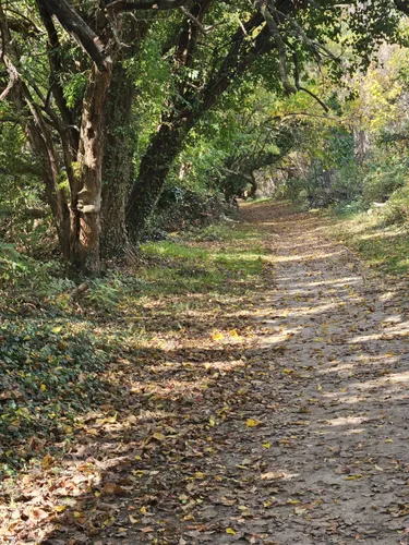 Best Hikes and Trails in Wye Island Natural Resource Management Area ...