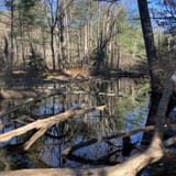 Saco River Trail, New Hampshire - 510 Reviews, Map | AllTrails
