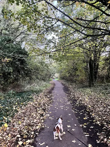 Best Hikes and Trails in Witham Way Country Park | AllTrails