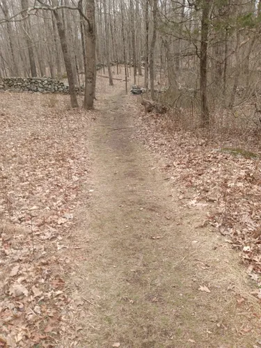 Best Hikes and Trails in Weir Farm National Historical Park | AllTrails