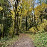 Forest Park Ridge Trail, Oregon - 1,157 Reviews, Map | AllTrails