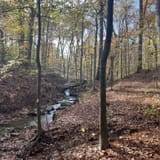 Turkey Run Potomac Heritage Trail, Virginia - 1,371 Reviews, Map ...