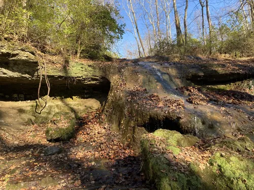 Best River Trails in Springfield | AllTrails