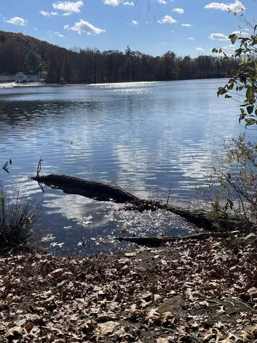 2023 Best Mountain Biking Trails in Succasunna | AllTrails