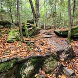 Cascade Brook Trail to Lonesome Lake, New Hampshire - 732 Reviews, Map ...